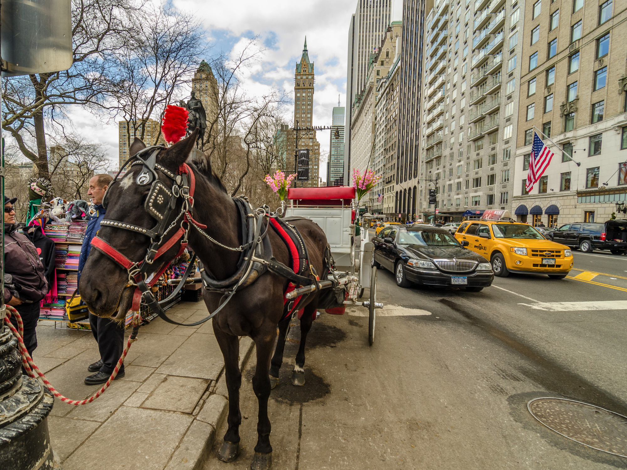 The Push to Ban Horse-Drawn Carriages: A Turning Point in Urban Animal ...